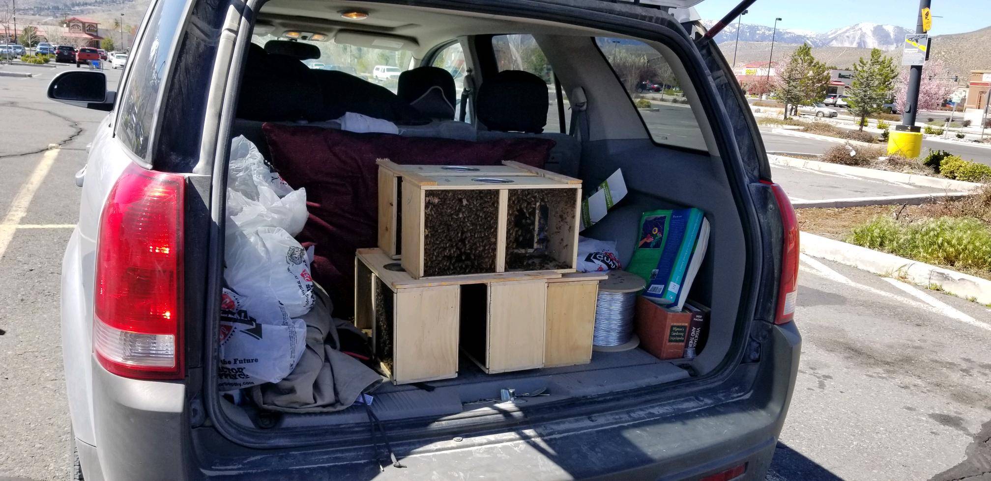 Spring Bee Management Plan – Live – Mother Earth News